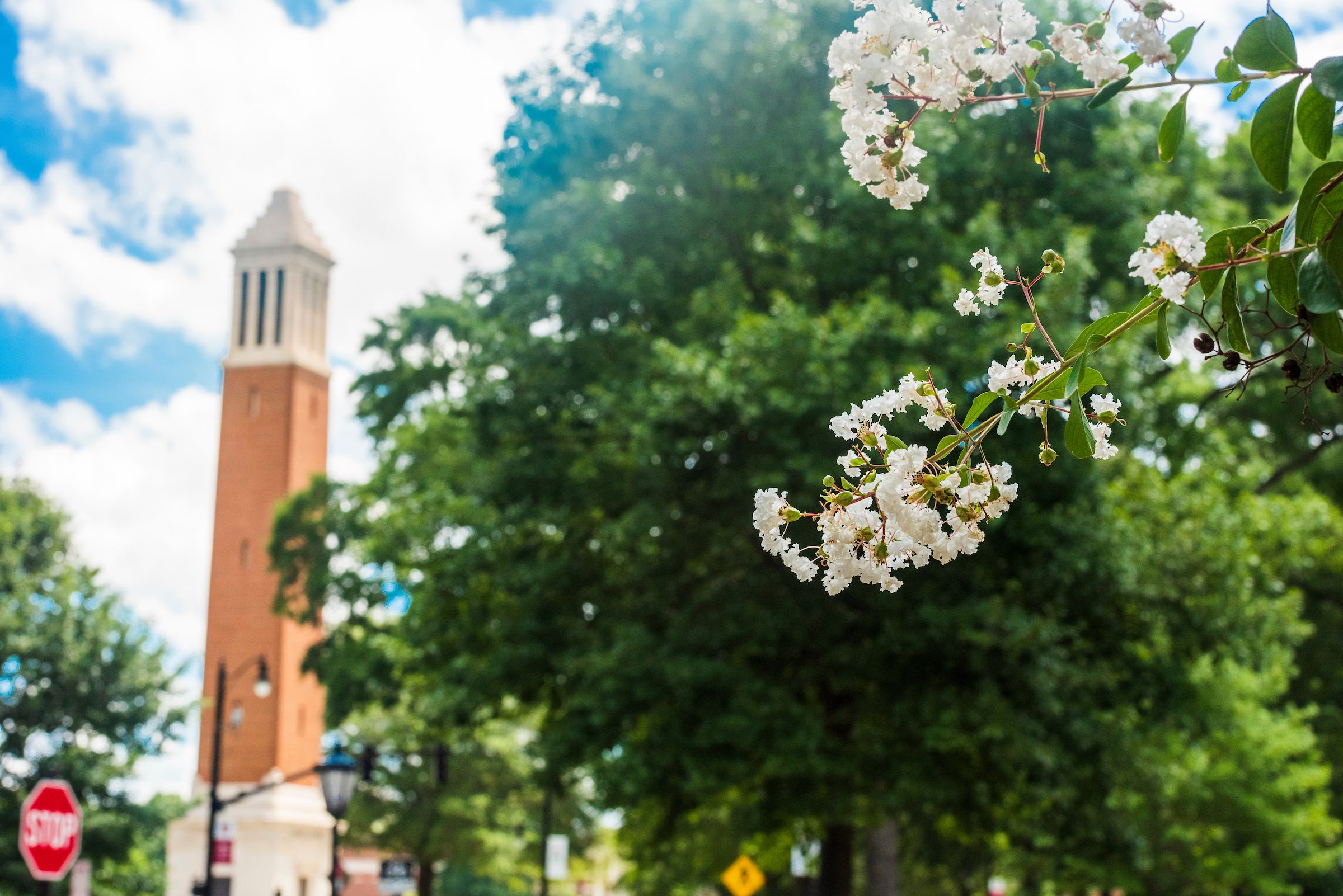Undergraduate Research at UA